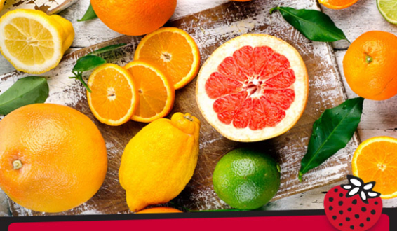 Bell Flavors & Fragrances, Inc